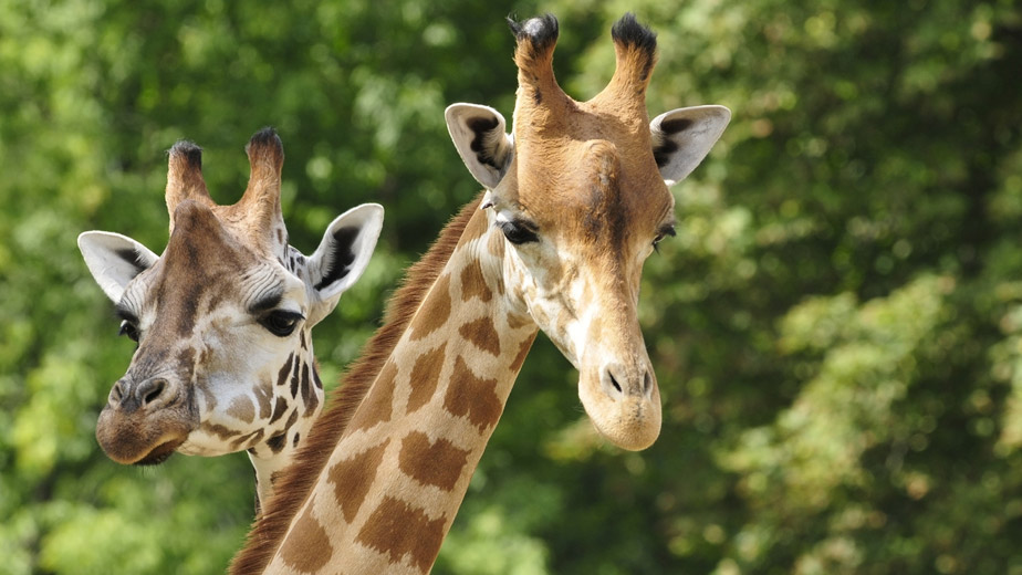 Top Things to Do in Topeka, Kansas | Cyrus Hotel